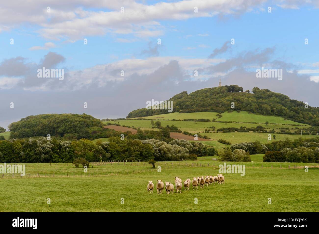 France, Meurthe et Moselle, Saintois region, colline de Sion Vaudemont ...