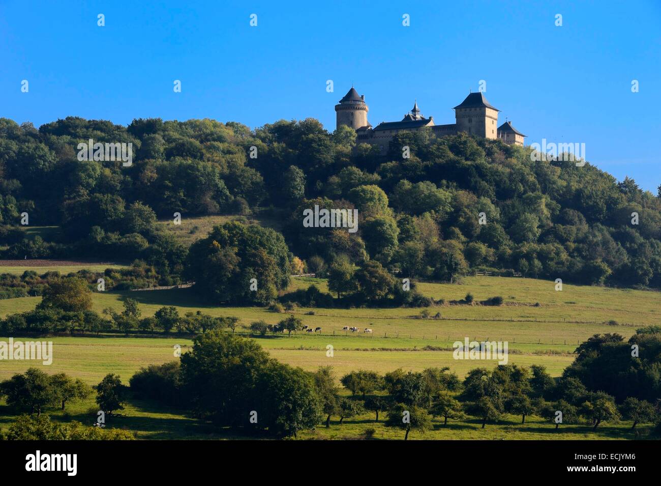 France, Moselle, Manderen, Malbrouck castle Stock Photo - Alamy
