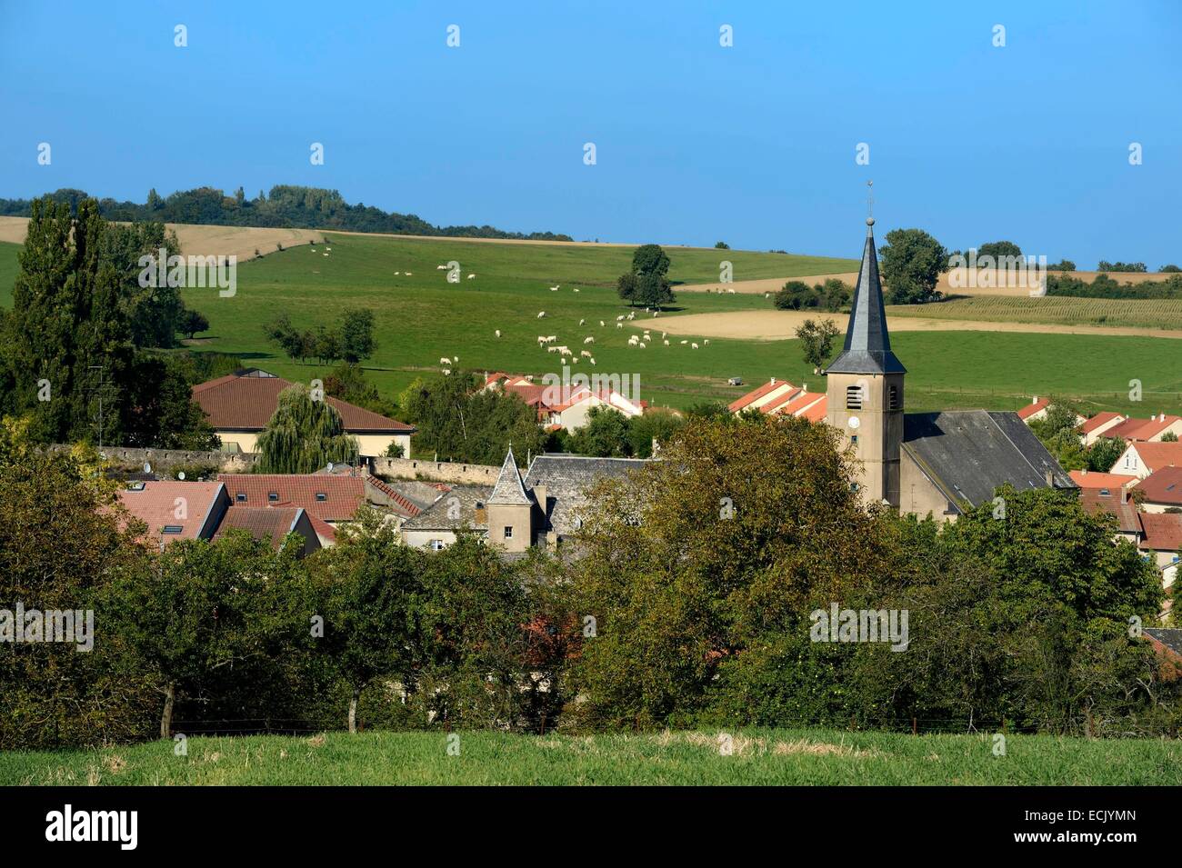 Rodemack france hi-res stock photography and images - Alamy