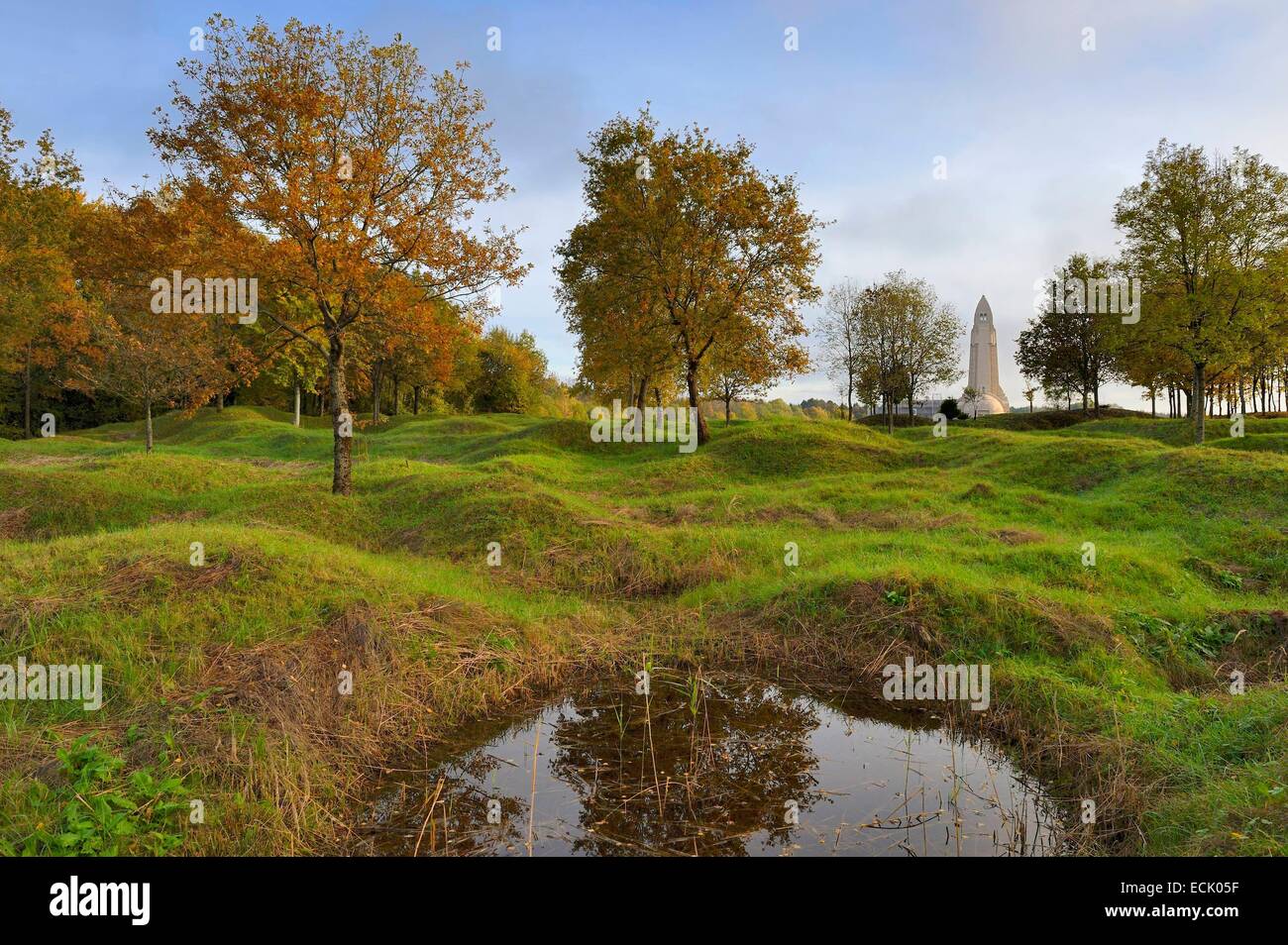 France, Meuse, Douaumont, landscape marked by shell holes still a ...