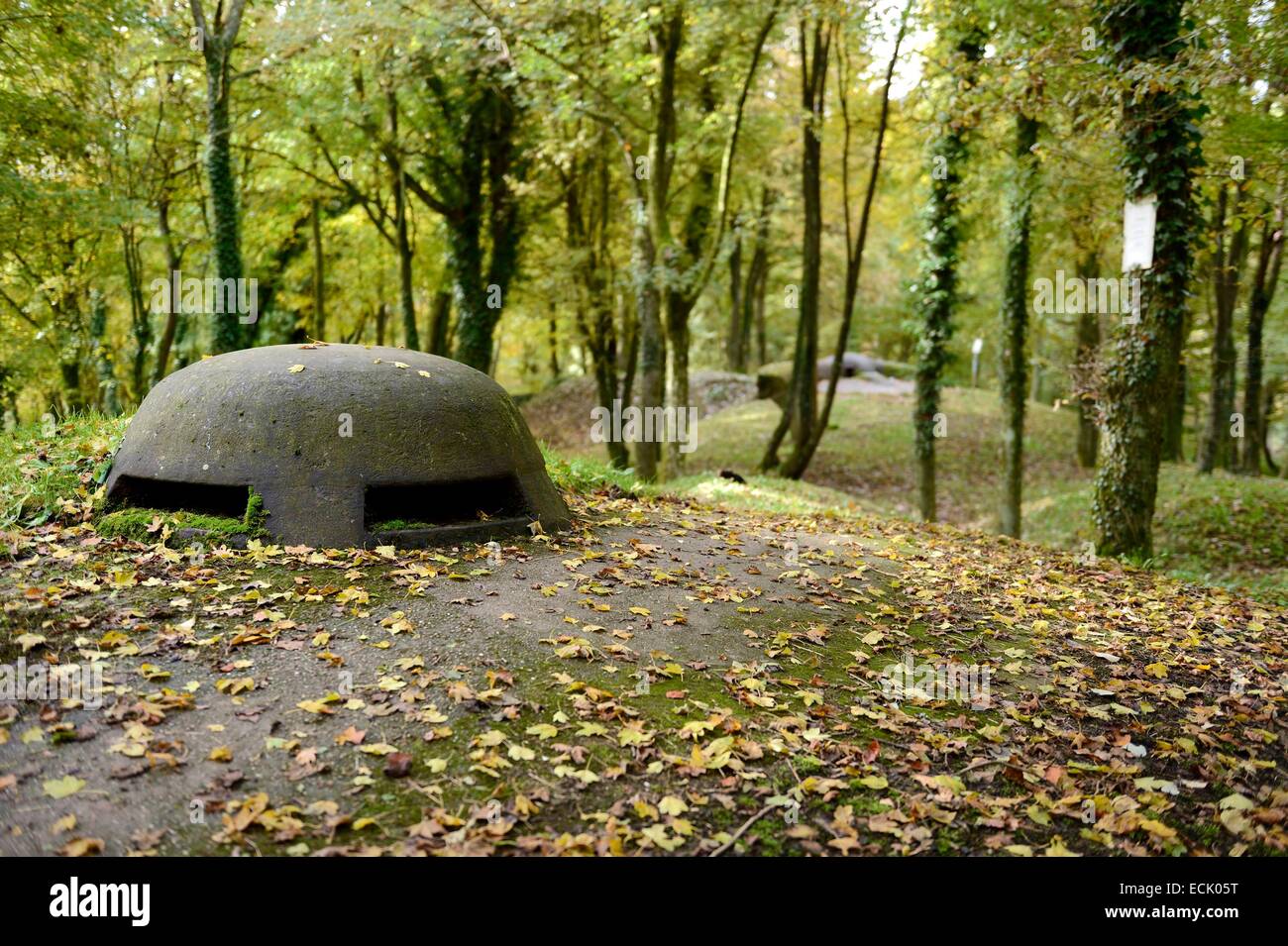 France, Meuse, Douaumont region, battle of Verdun, the Fort de Souville ...