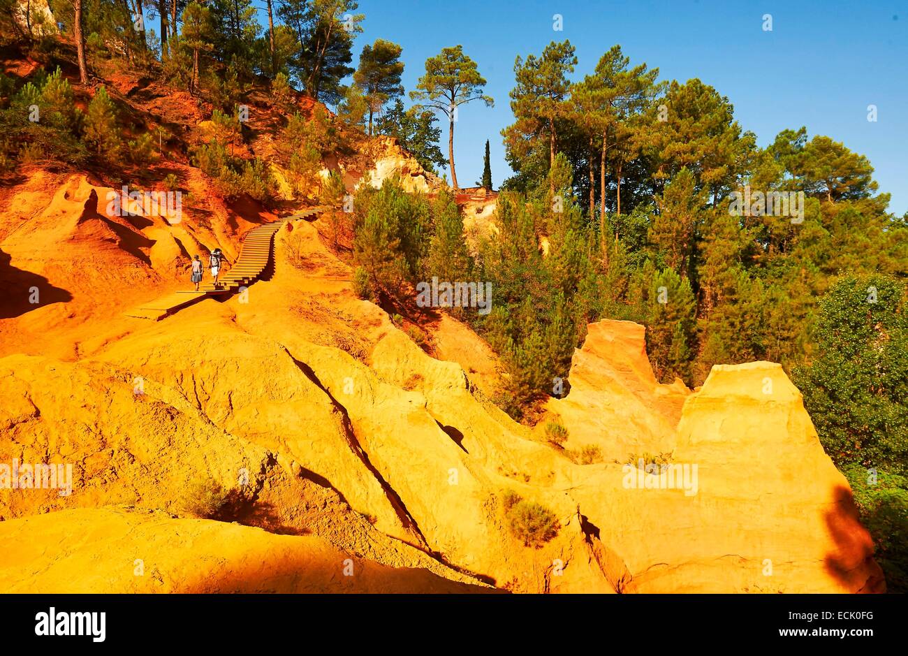 France, Vaucluse, Parc Naturel Regional du Luberon (Natural Regional ...