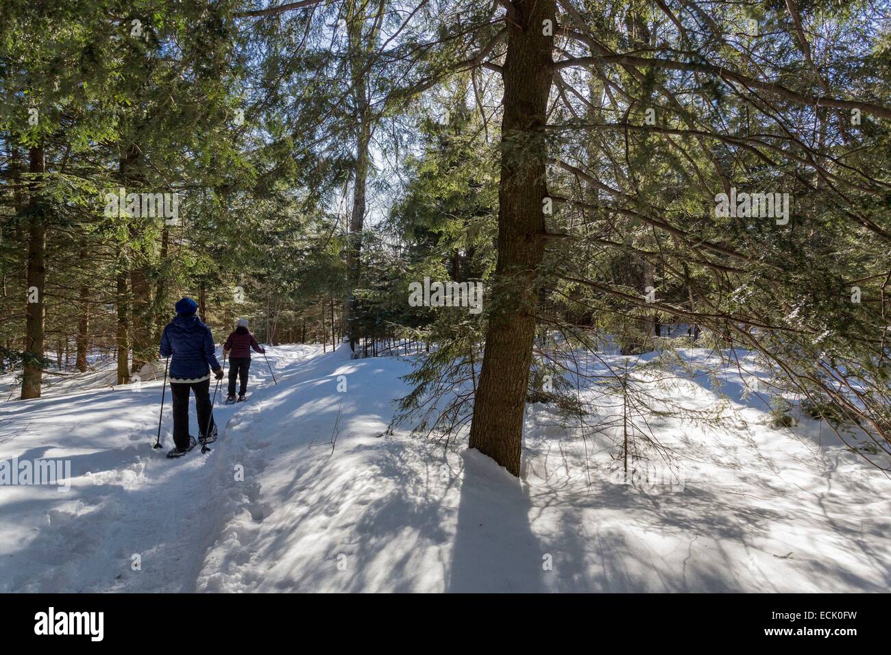 Canada, Quebec province, the region of the Eastern Townships, the ...