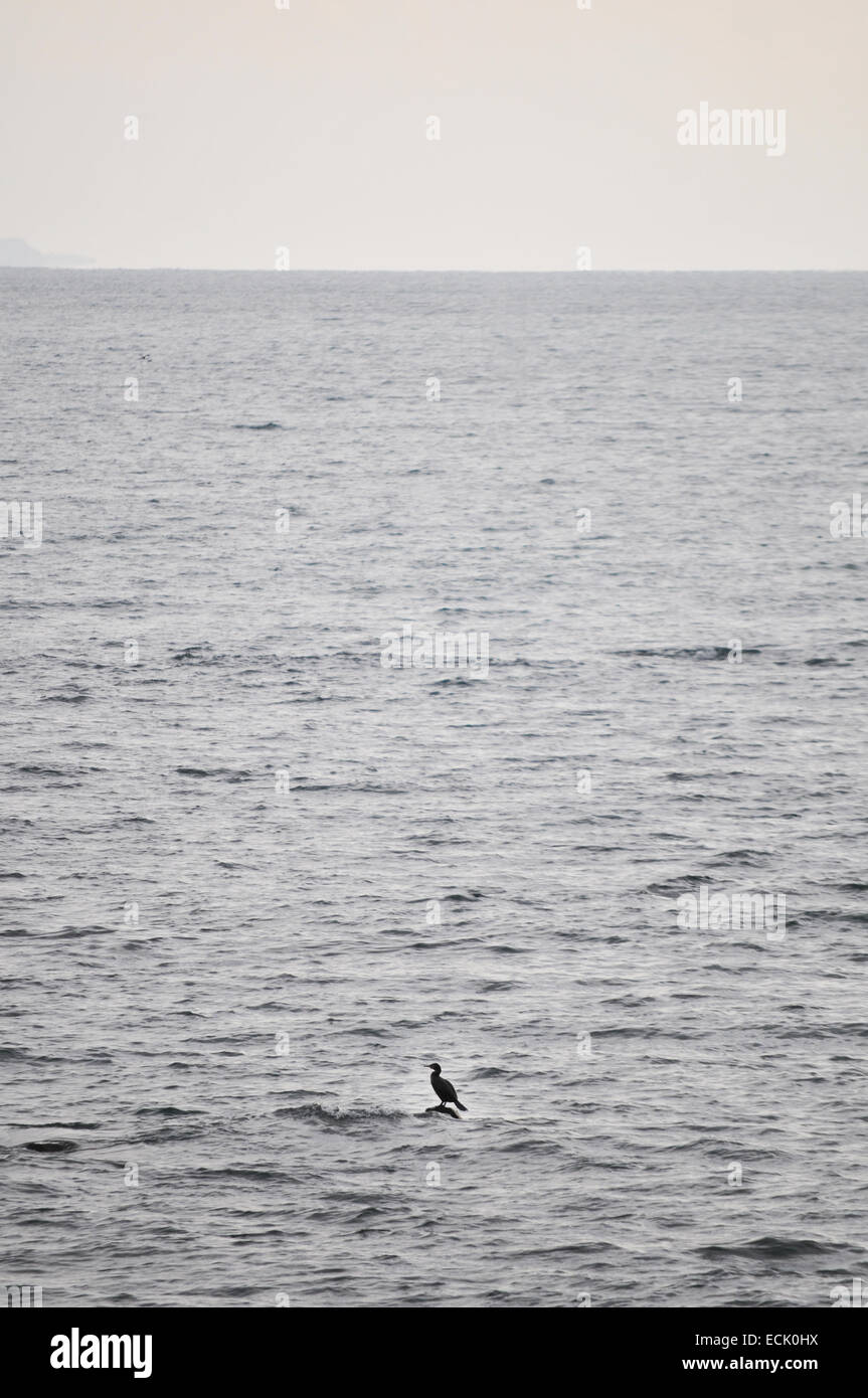Empty sea hi-res stock photography and images - Alamy