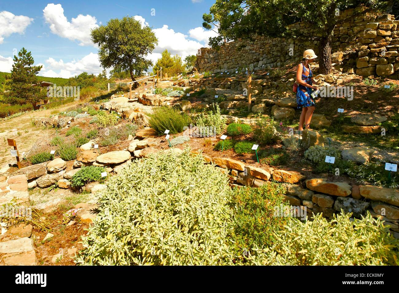 France, Alpes de Hautes Provence, Parc Naturel Regional du Luberon ...