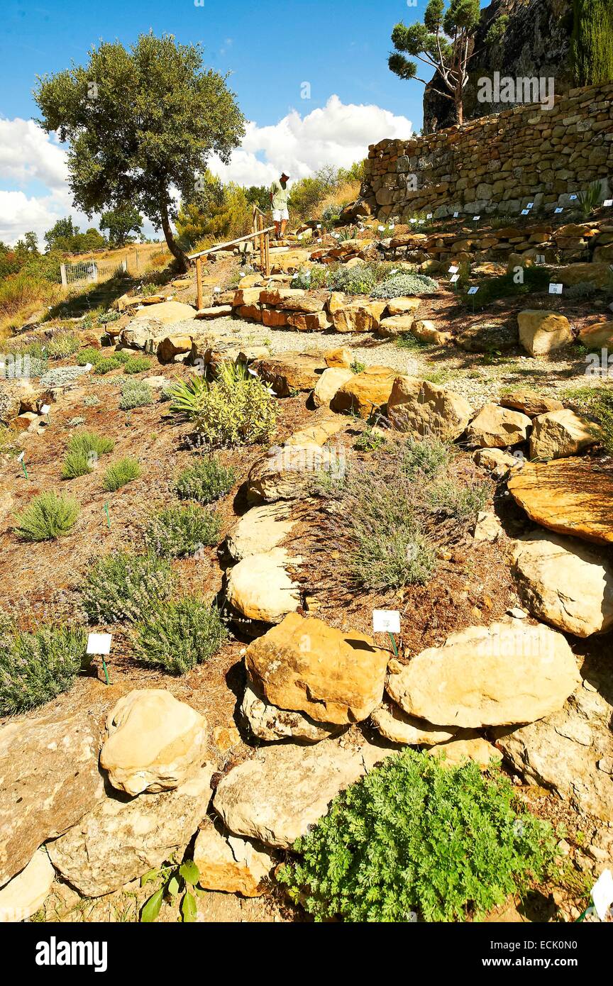 France, Alpes de Hautes Provence, Parc Naturel Regional du Luberon ...
