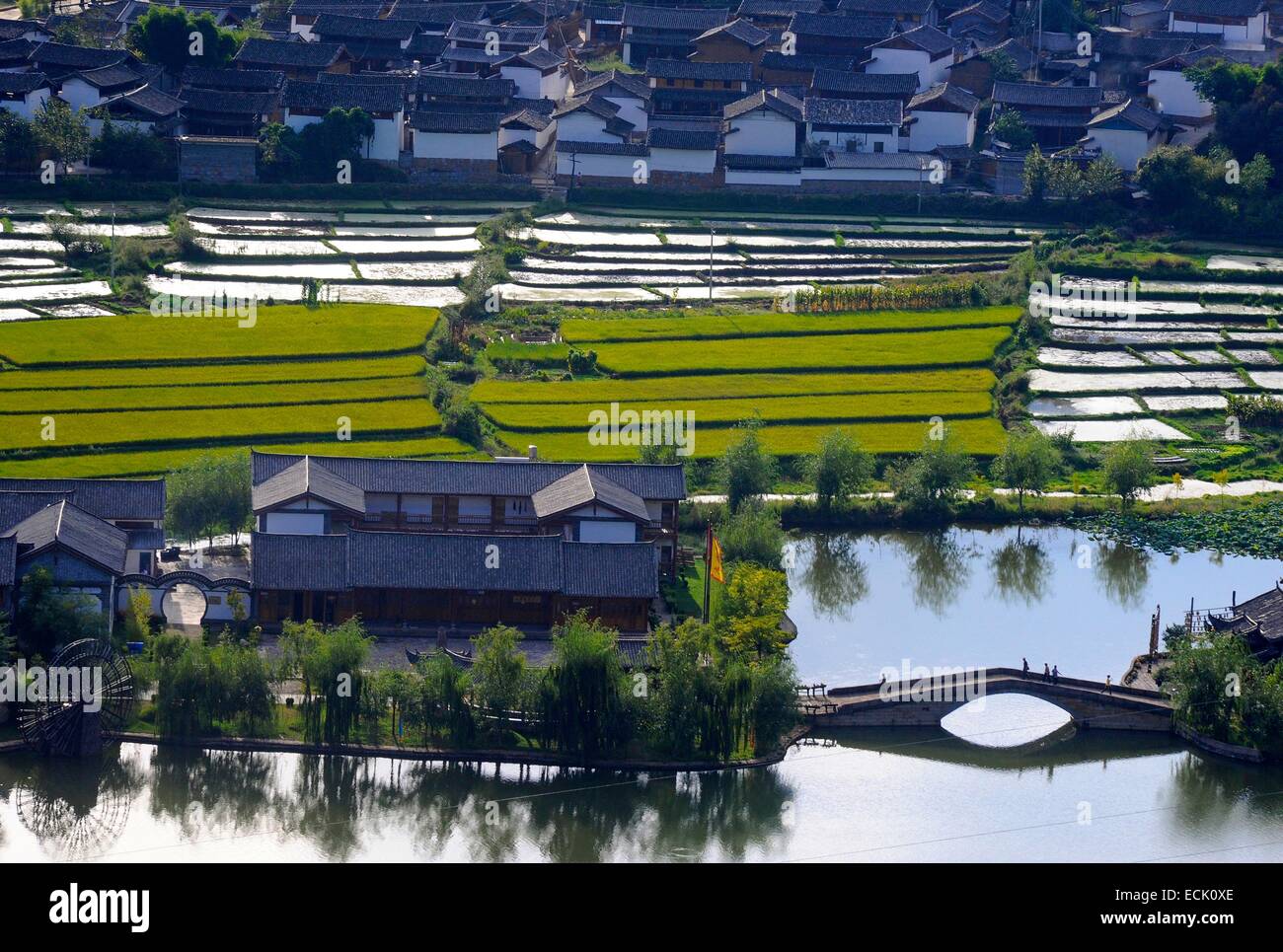 China, Yunnan Province, Dali landscape of rice fields and village, Bai ...
