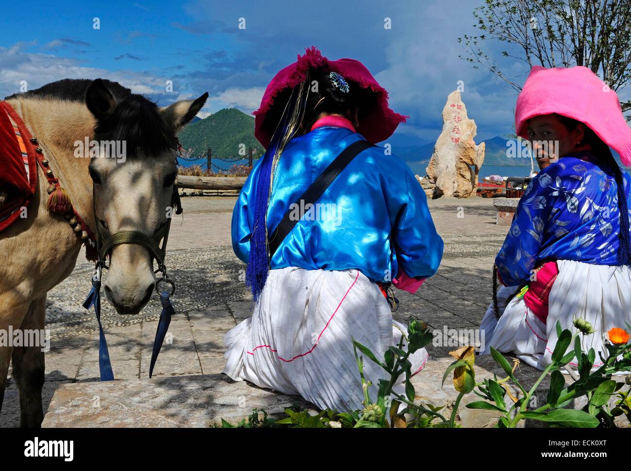 Moso china hi-res stock photography and images - Alamy