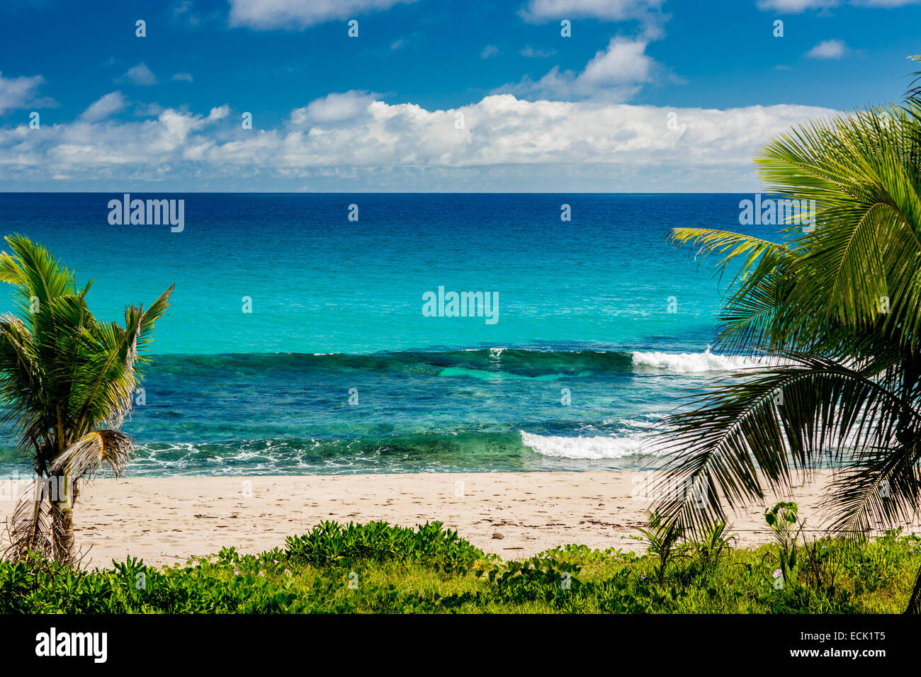 Fifi beach hi-res stock photography and images - Alamy