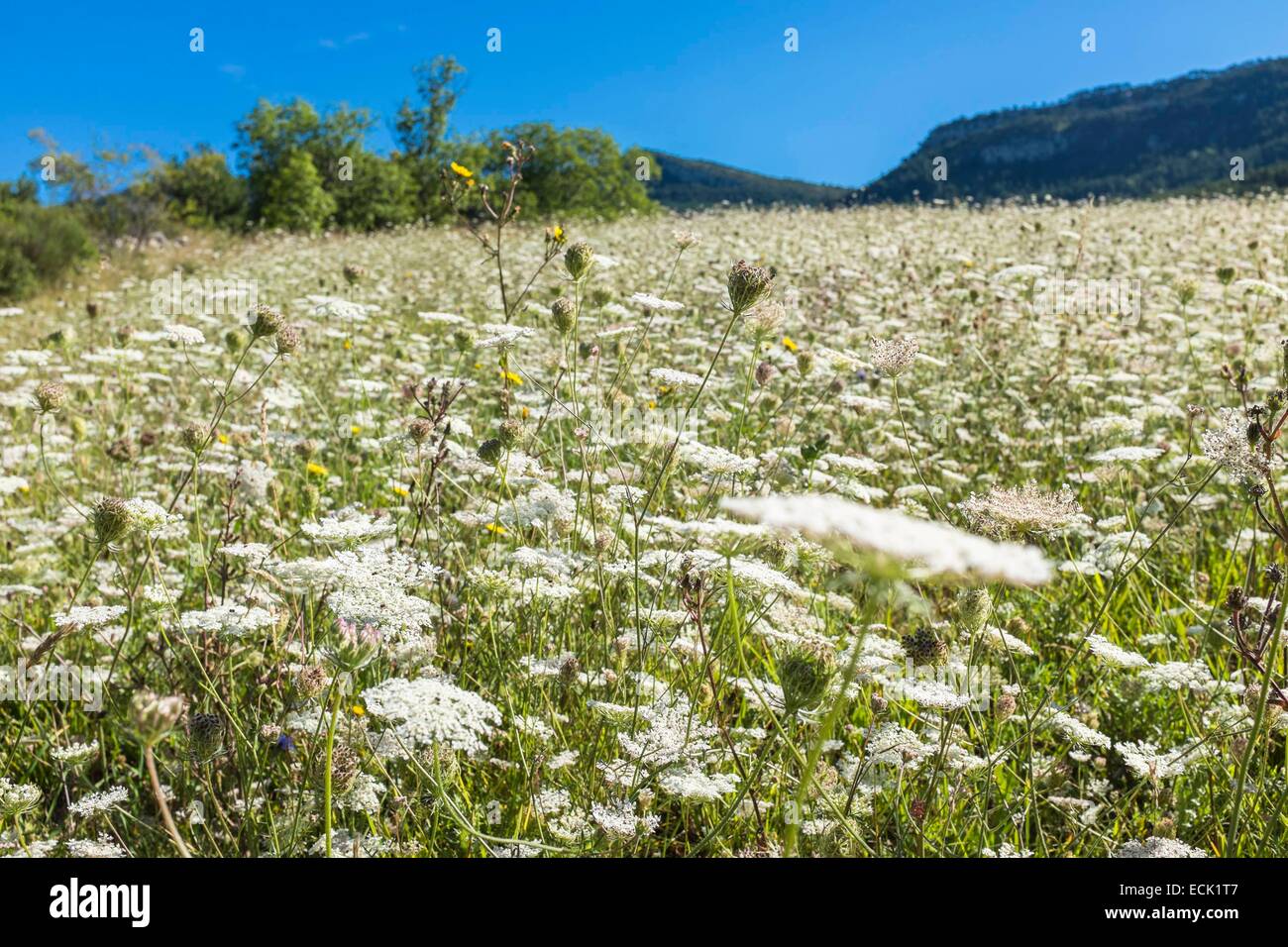 The drome valley hi-res stock photography and images - Alamy