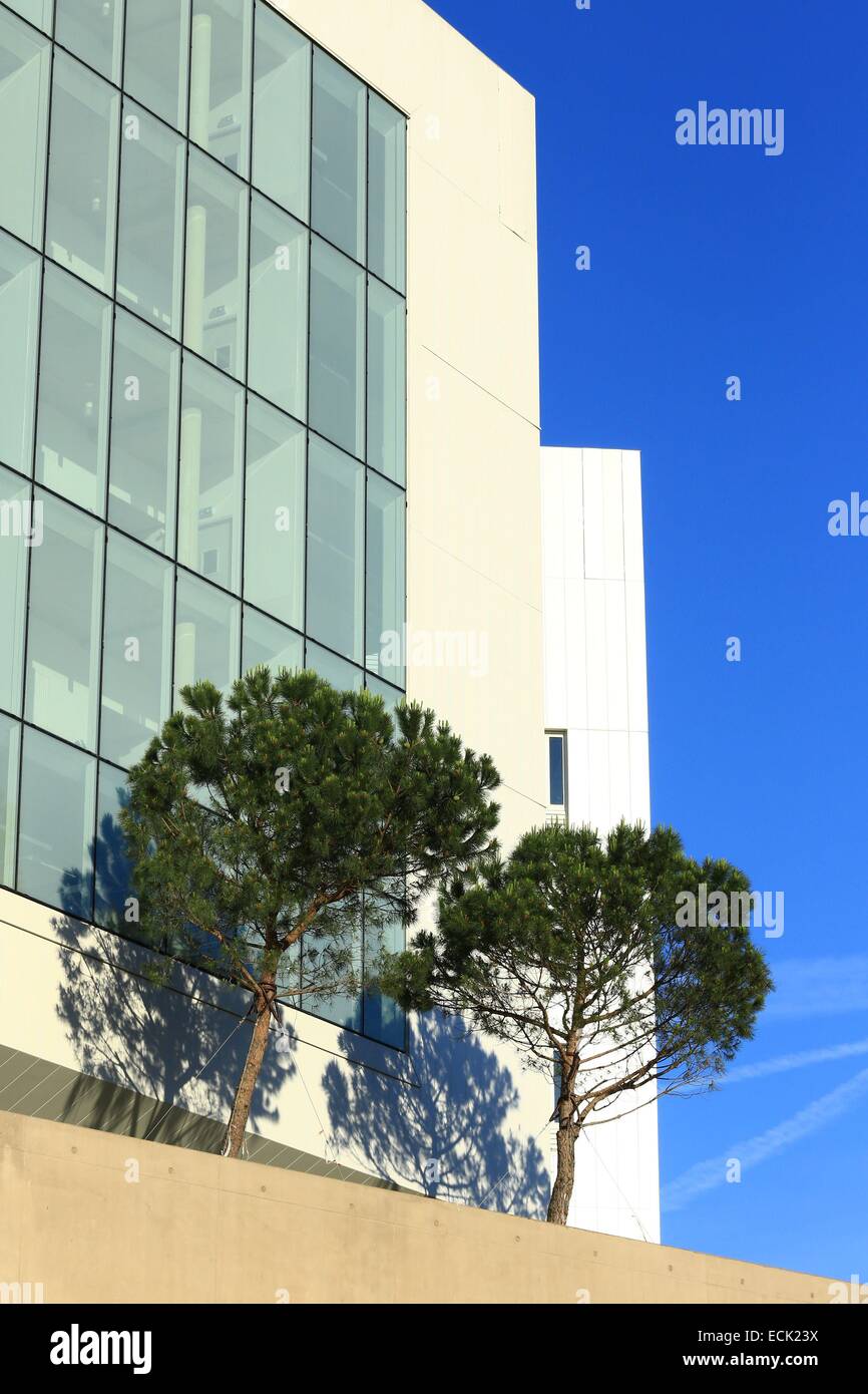 France, Var, Toulon, University Stock Photo - Alamy