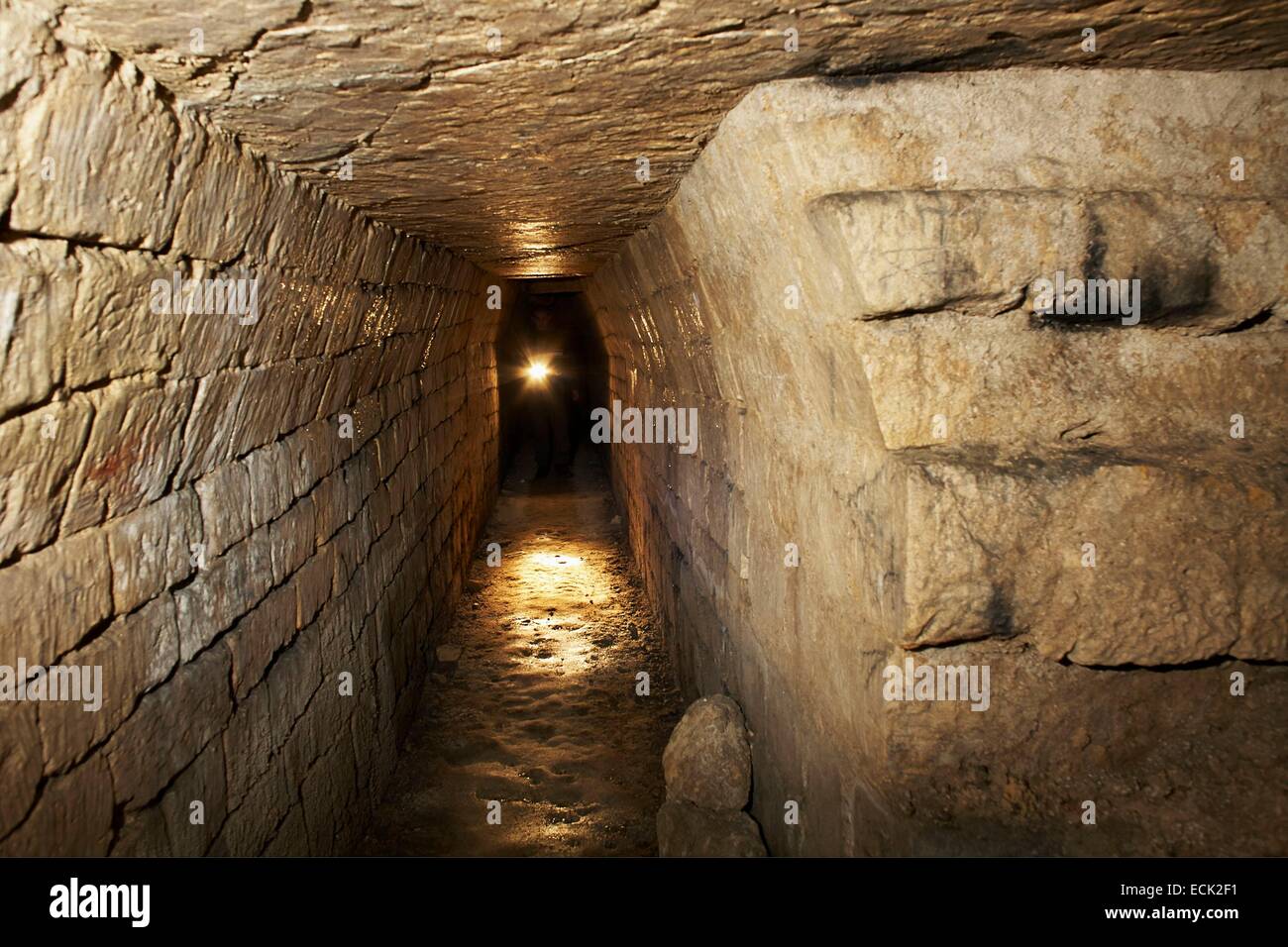 France, Paris, National Museum of Natural History, Catacombs Stock ...