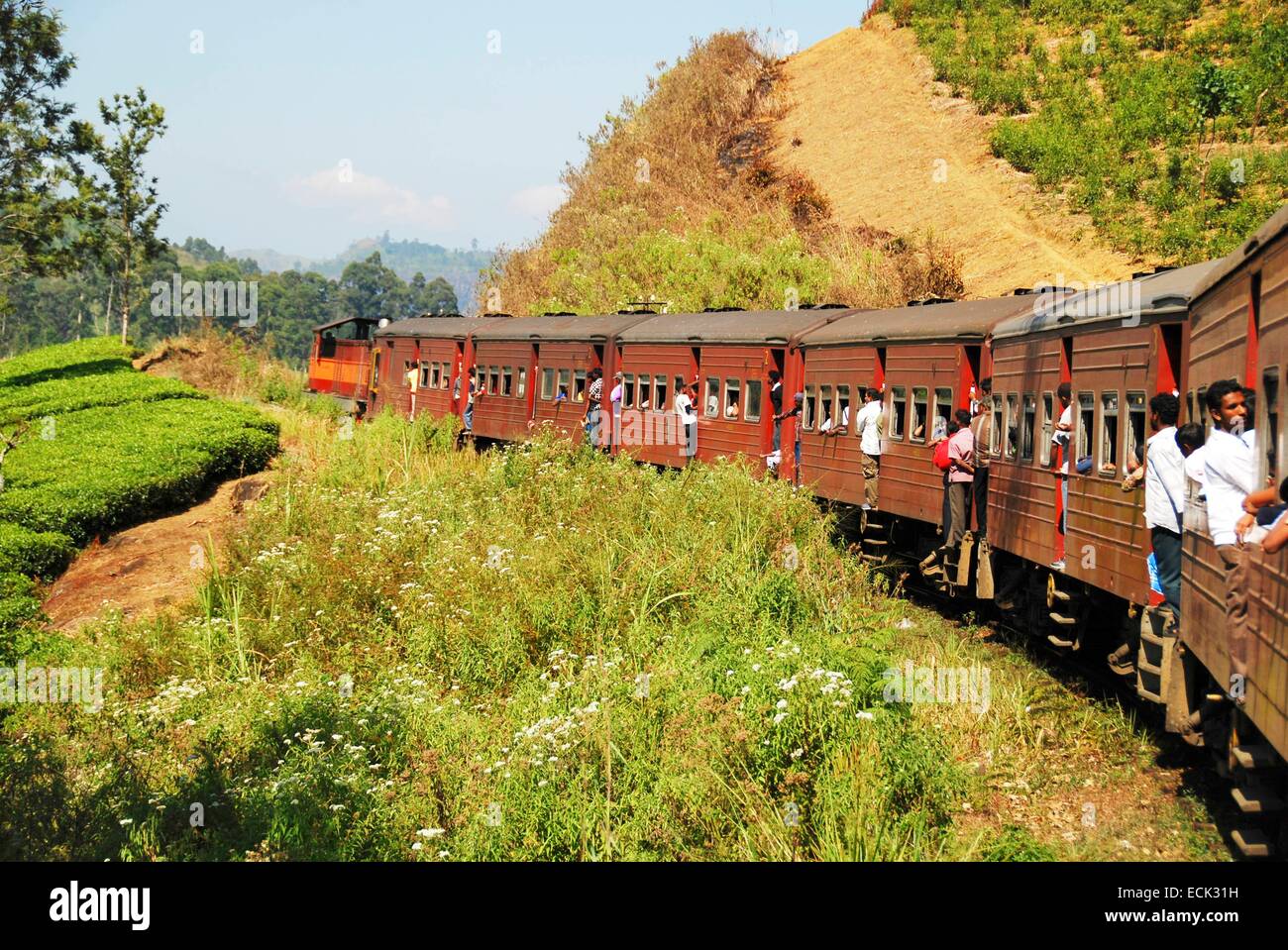 Tea horse road hi-res stock photography and images - Alamy
