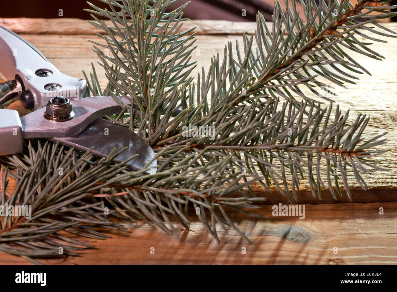 new pruning shears on the wooden table Stock Photo - Alamy