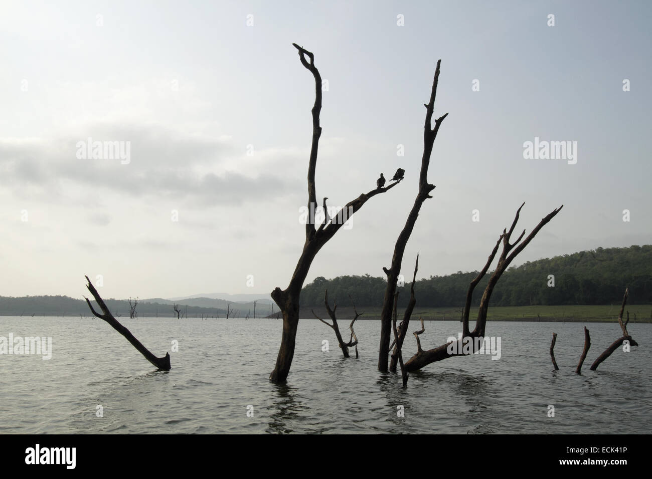Bhadra reservoir hi-res stock photography and images - Alamy