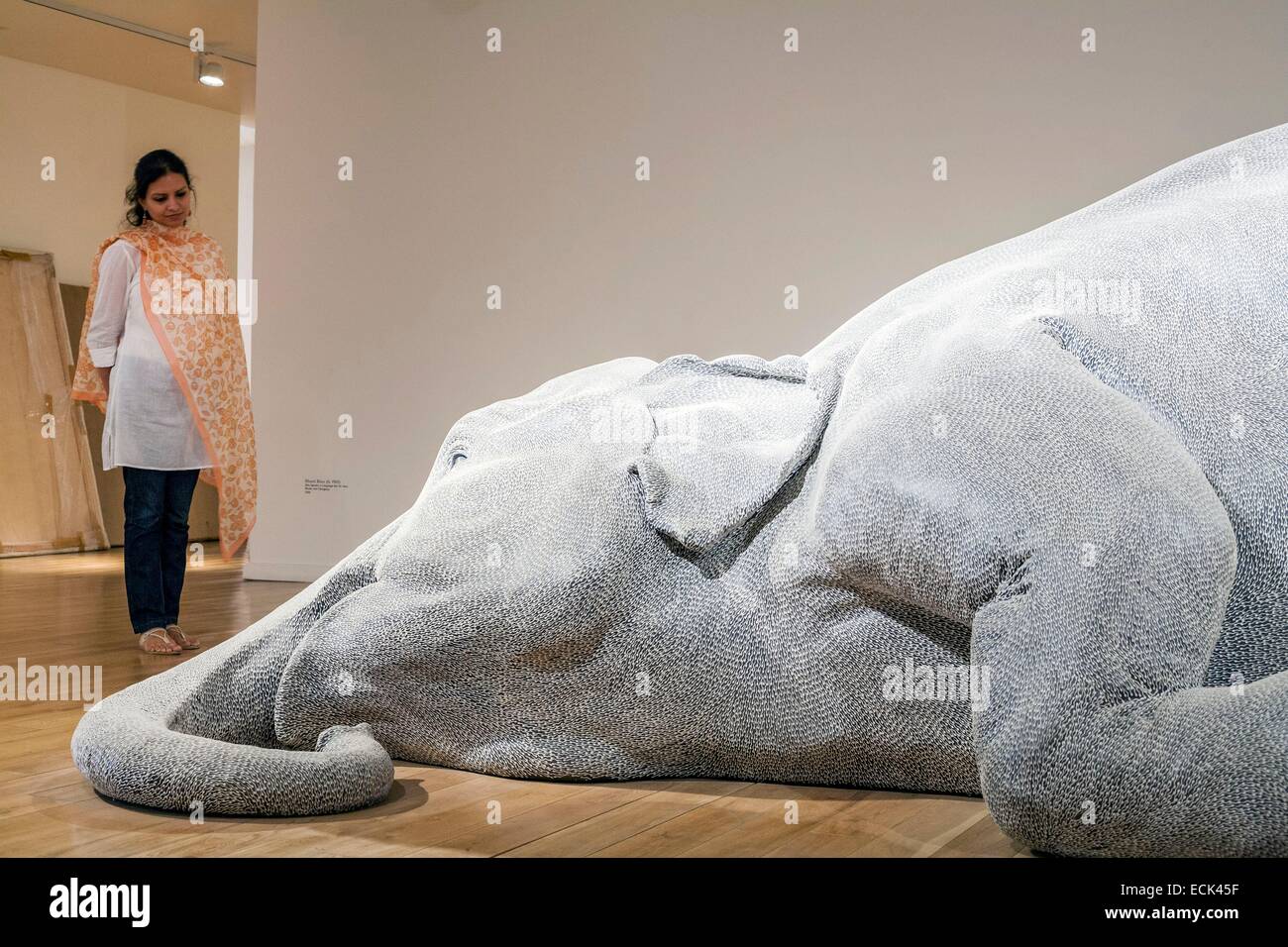 India, New Delhi, Kiran Nadar Museum of Art (KNMA) opened in 2010 and ...