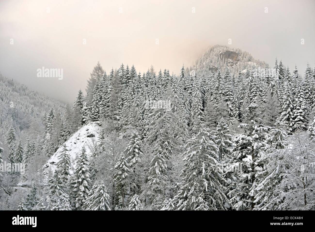 Snowy switzerland hi-res stock photography and images - Alamy