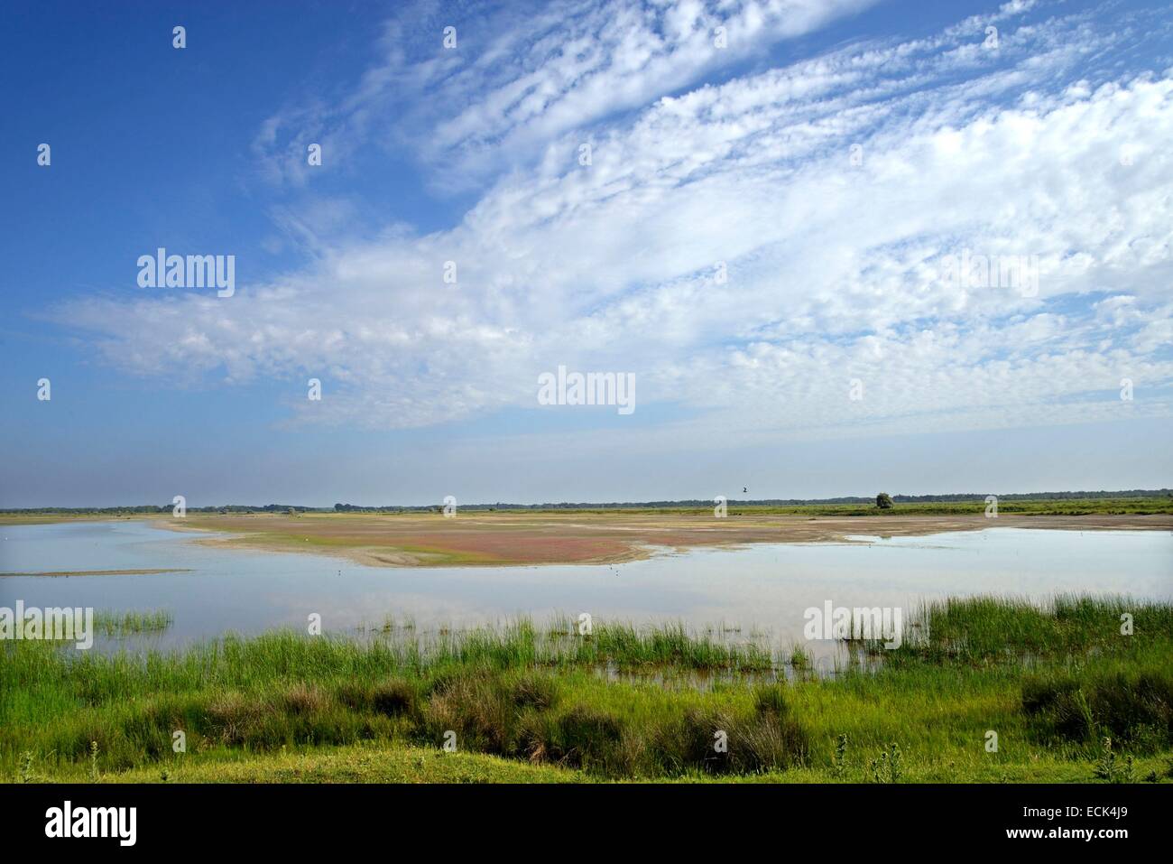 Romania, Danube Delta listed as World Heritage by UNESCO, saltwater ...