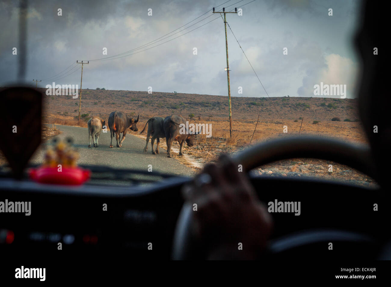 Car Driving In Countryside High Resolution Stock Photography and Images ...