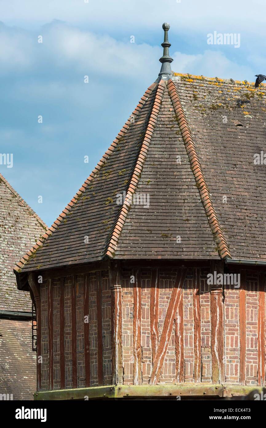 France, Seine Maritime, Cleres, Cleres Zoological Park, Anglo Norman ...