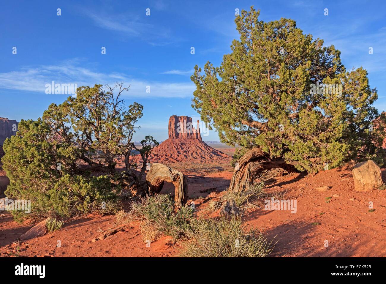 United States, Arizona, Navajo Nation Indian Reservation, Monument ...