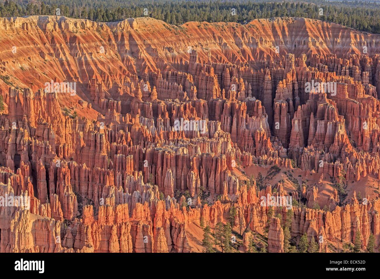 United States, Utah, Colorado Plateau, Bryce Canyon National Park, view ...