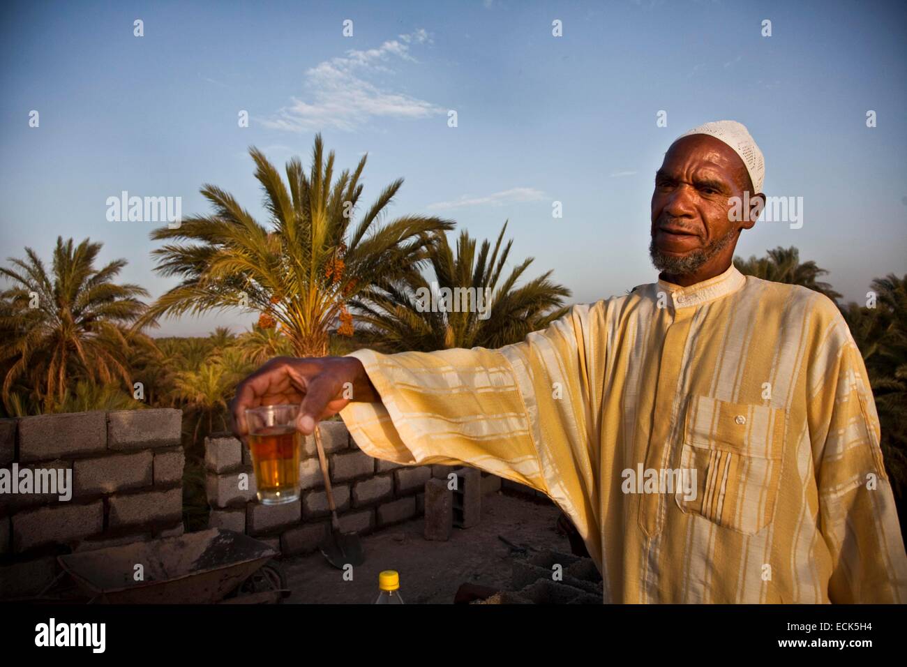Bearded palm tree hi-res stock photography and images - Alamy