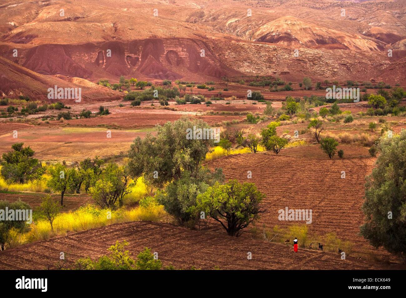Morocco, Haut Atlas, Ounila Valley, Telouet Stock Photo - Alamy