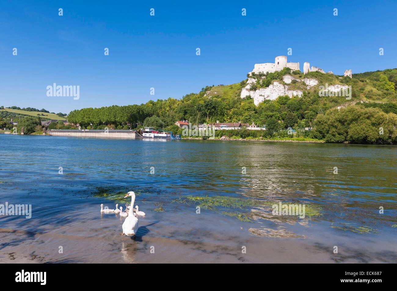 France, Eure, Les Andelys, the ruins of Chateau Gaillard, medieval fortress overlooking the ...