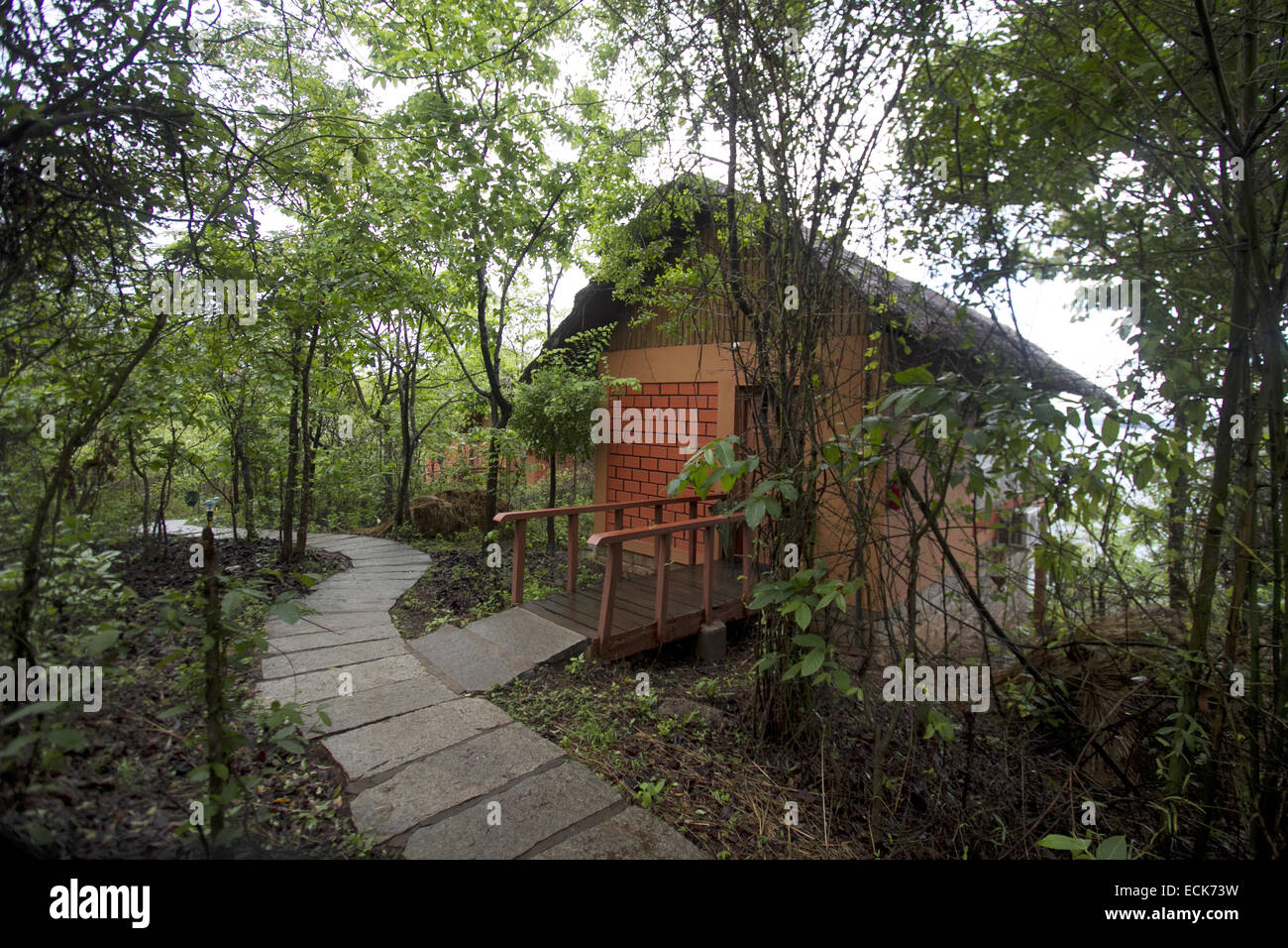 Tiger lodge hi-res stock photography and images - Alamy