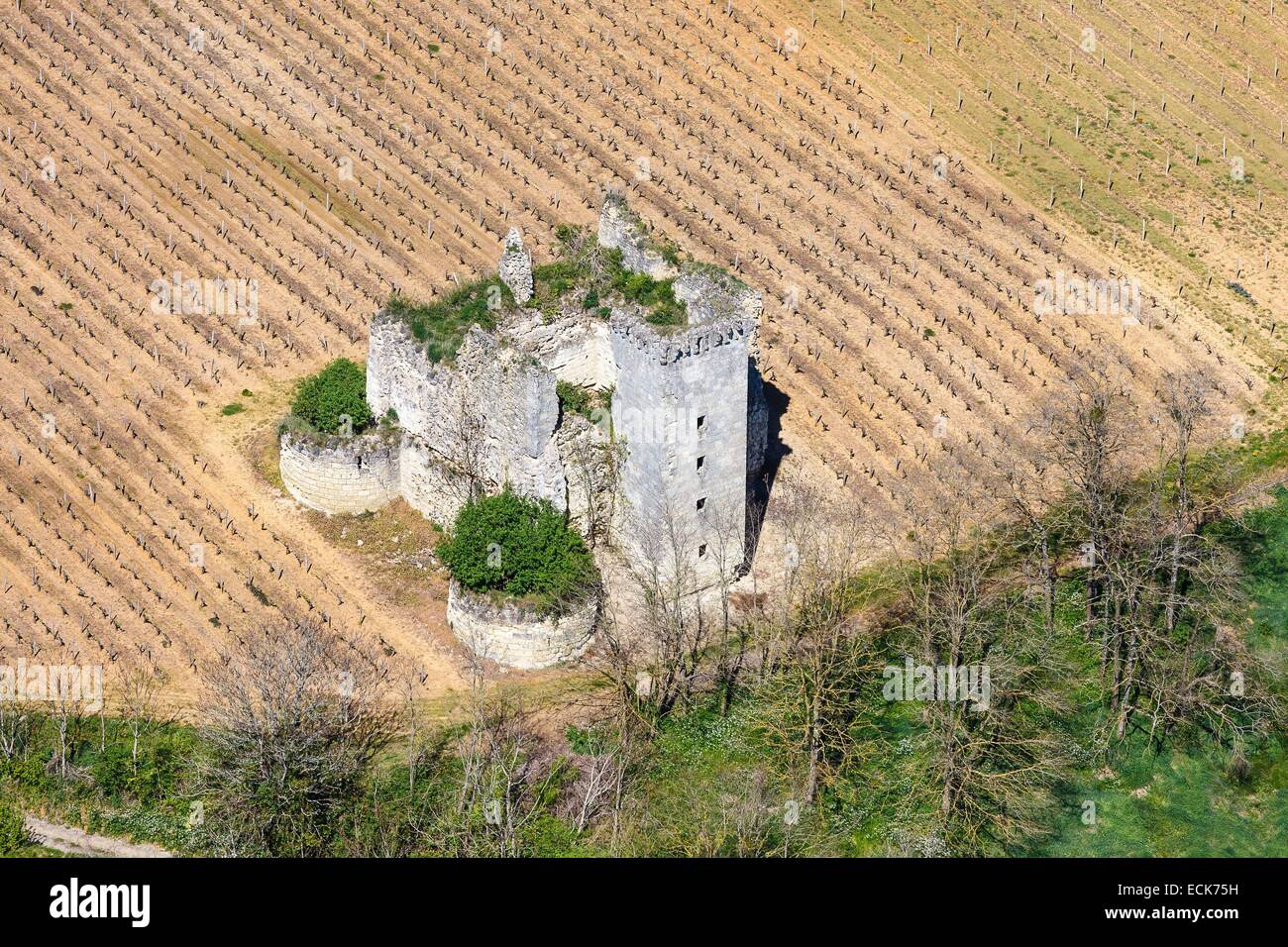 France, Vienne, Beaumont, Beaumont tower (aerial view Stock Photo - Alamy