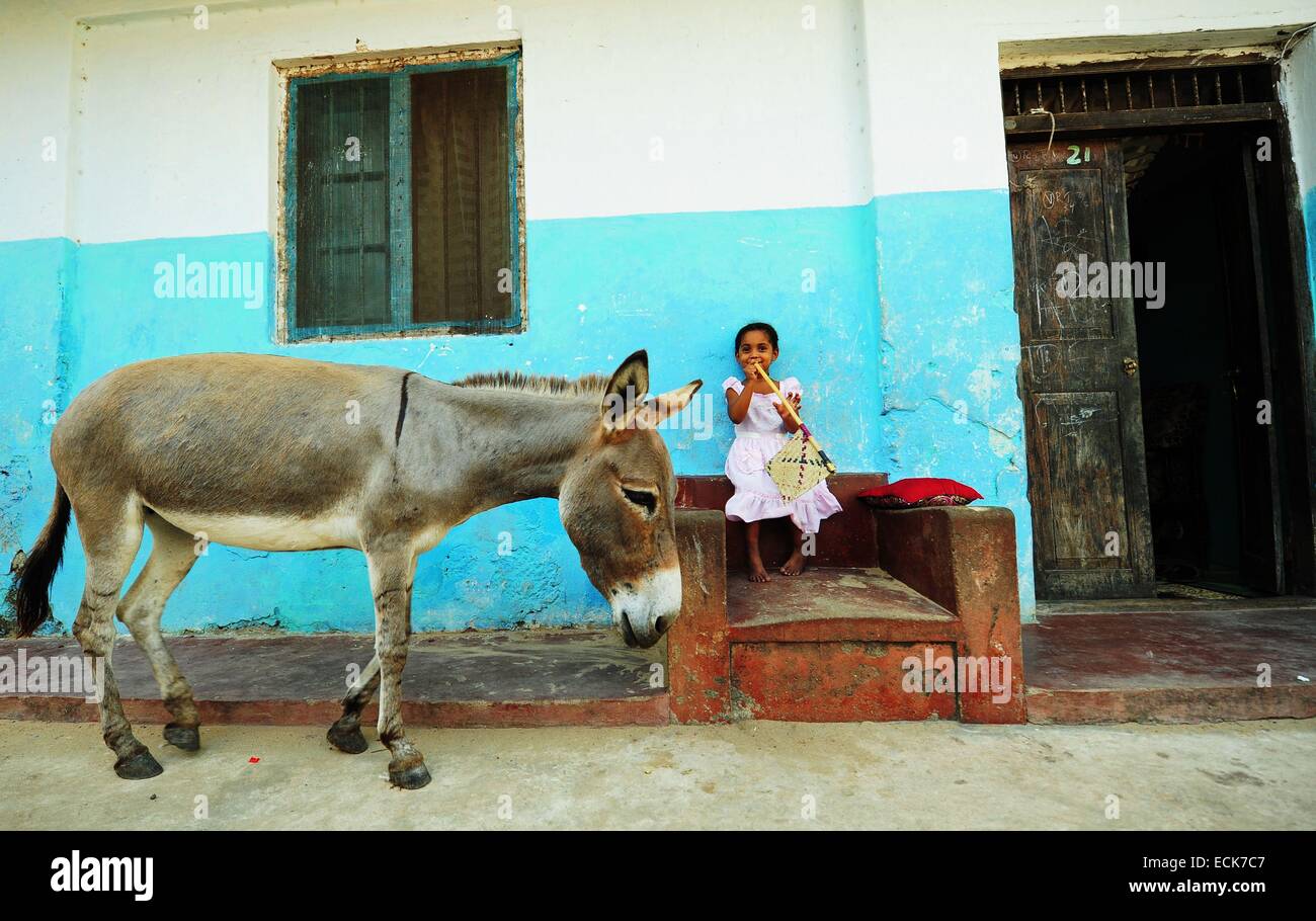 Kenya, Lamu archipelago, Lamu, girl and donkey in front of house Stock ...