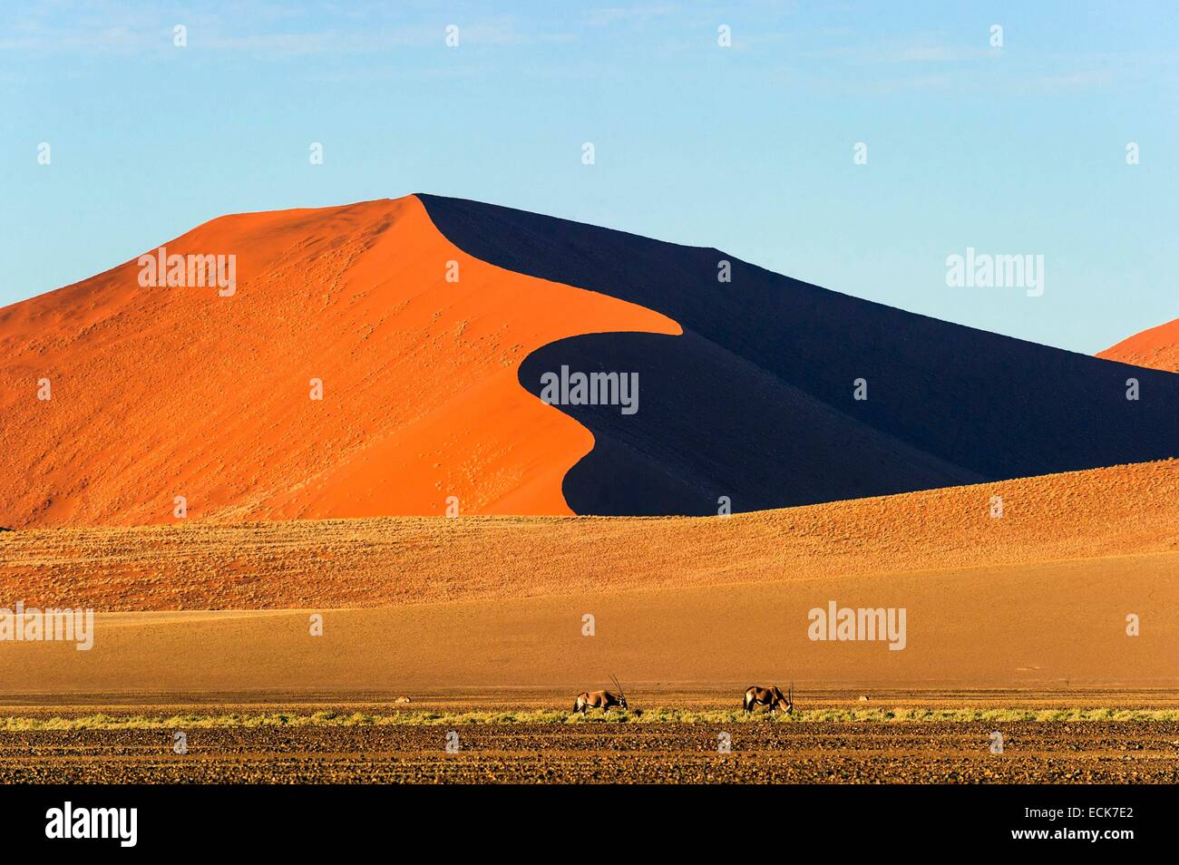 Namibia, Hardap region, Namib desert, Namib-Naukluft national park ...