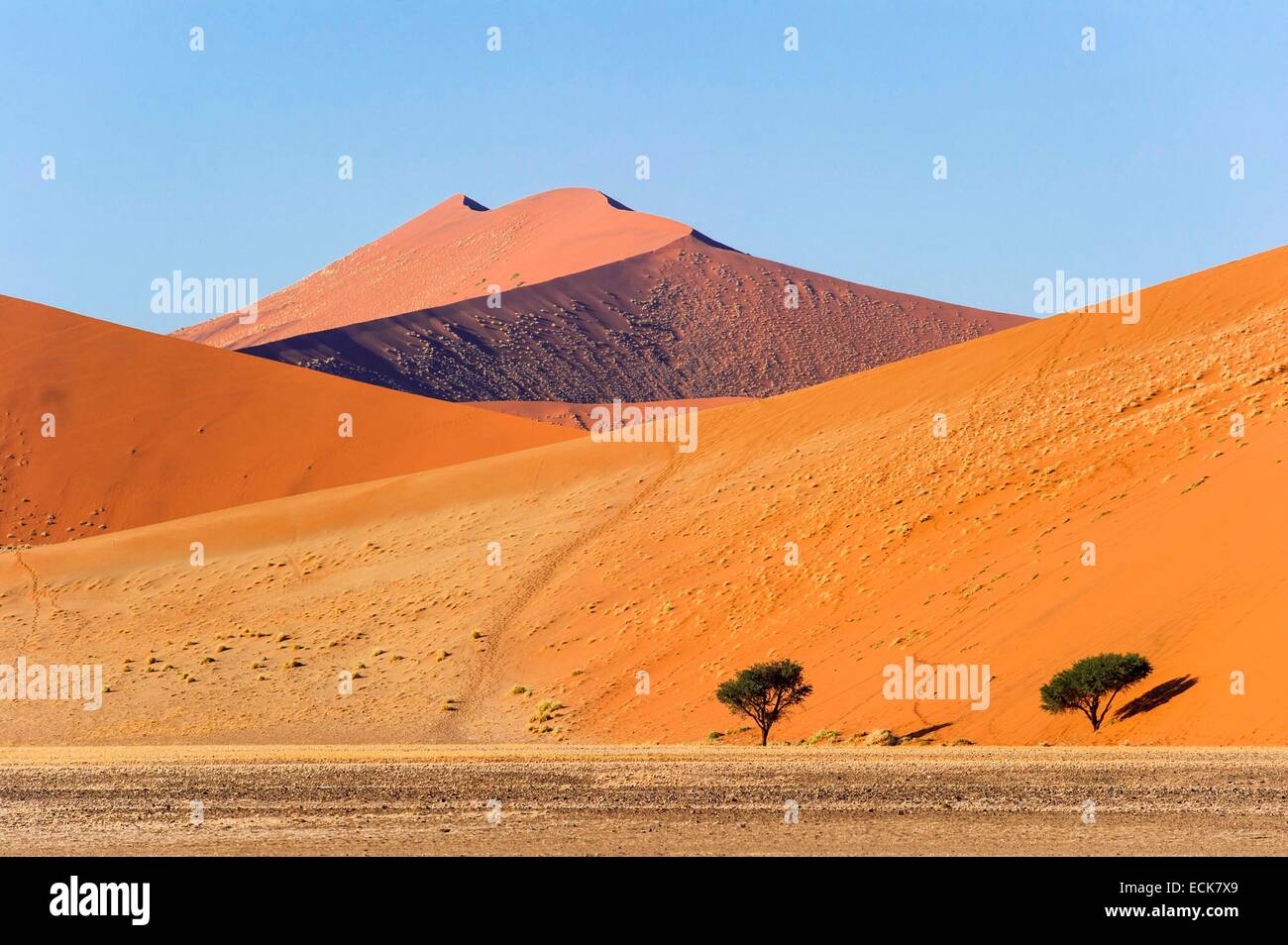 Namibia, Hardap region, Namib desert, Namib-Naukluft national park ...