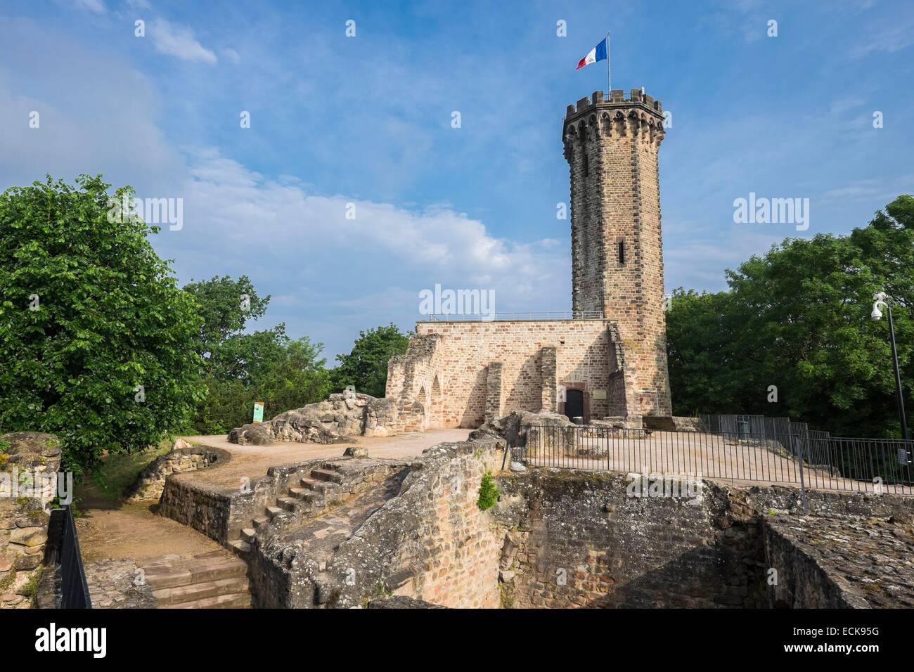 France, Moselle, Forbach, Schlossberg castle, fortified castle built in the 11th or 12th century ...