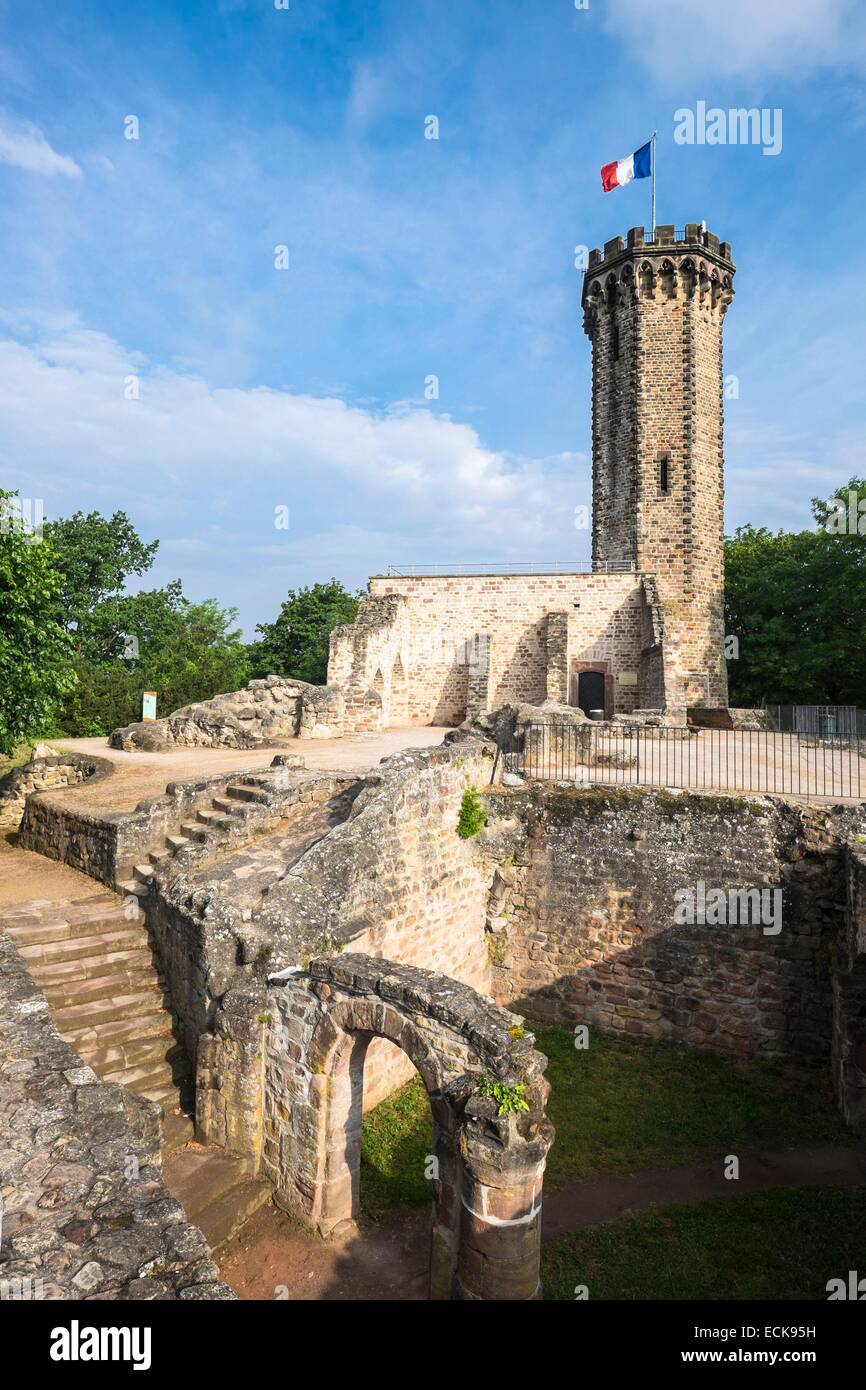 France, Moselle, Forbach, Schlossberg castle, fortified castle built in ...