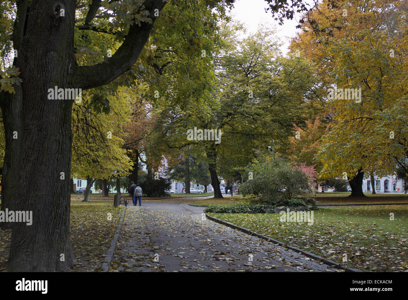 A Garden at linz city, Austria Stock Photo - Alamy