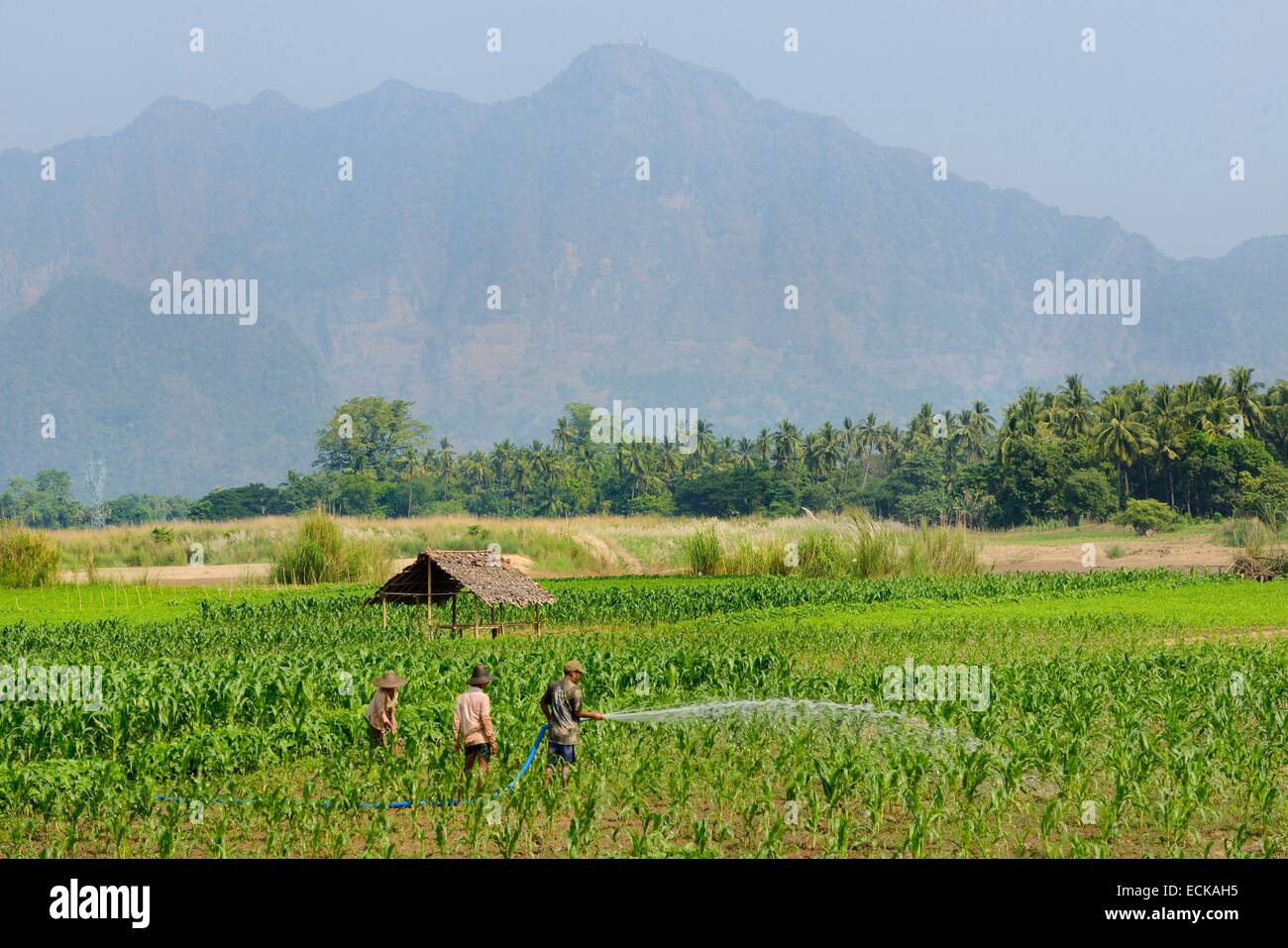 Myanmar burma kayin karen state hi-res stock photography and images - Alamy