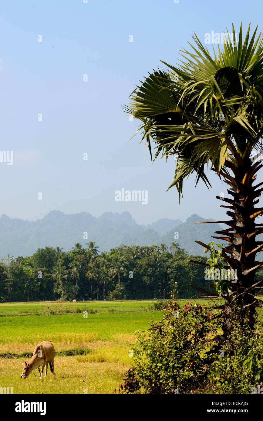 Myanmar (Burma), Kayin (Karen) State, Hpa-An surroundings Stock Photo ...