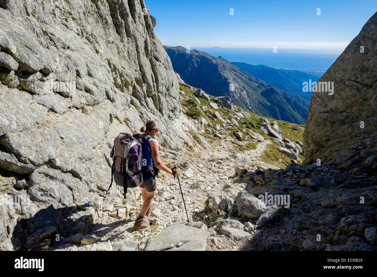 France, Corse du Sud, hiking on the GR 20, between Bassetta Sheepfold ...