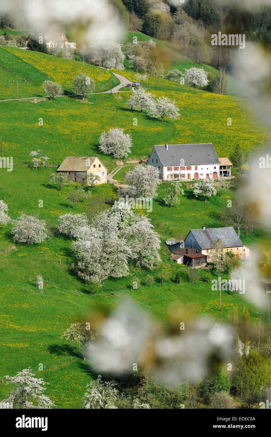 Isolated farms hi-res stock photography and images - Alamy