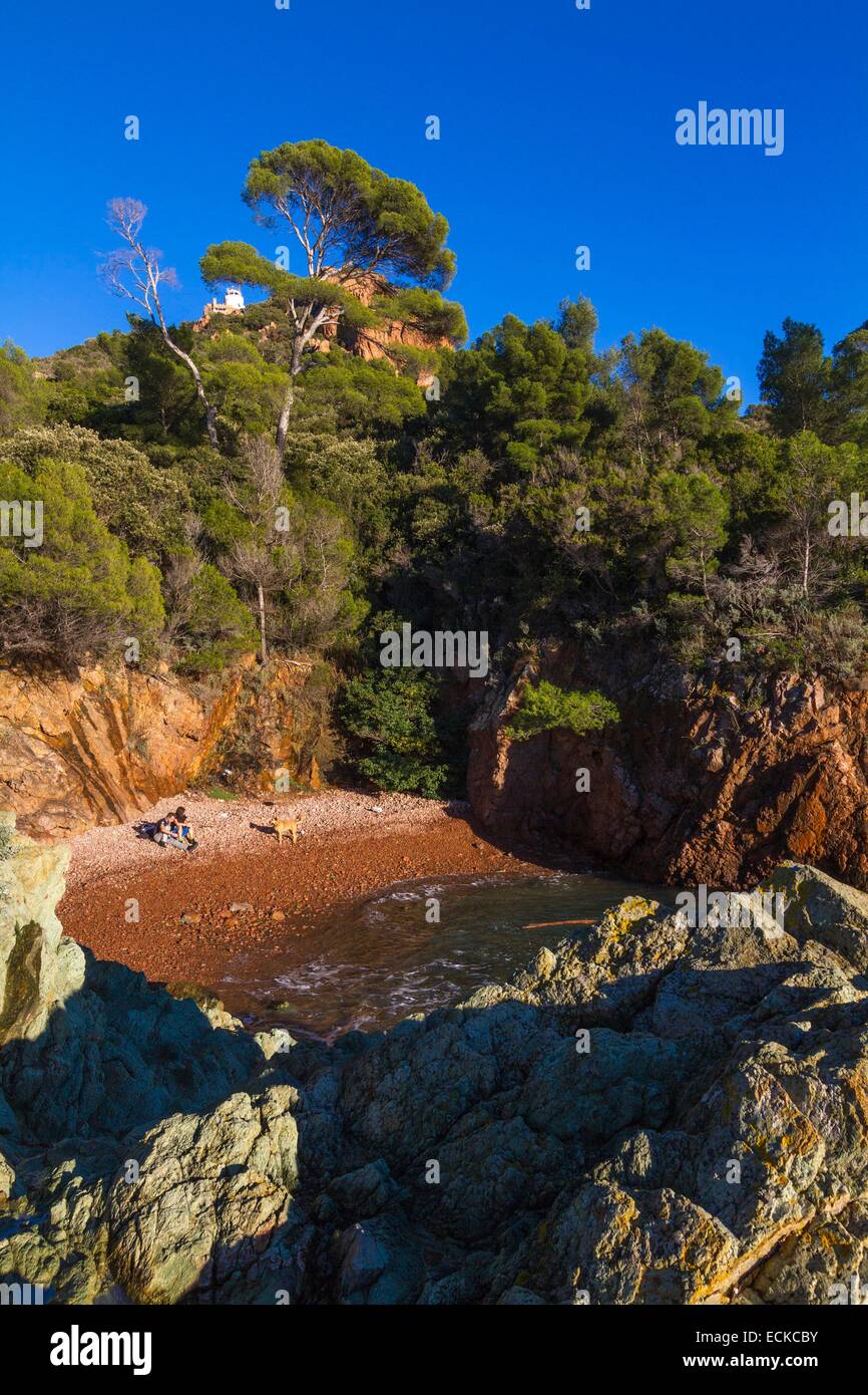 Man dog french coast hi-res stock photography and images - Alamy
