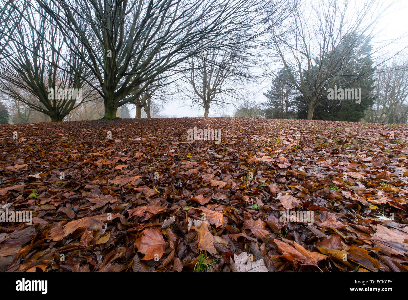 Churchill gardens salisbury hi-res stock photography and images - Alamy