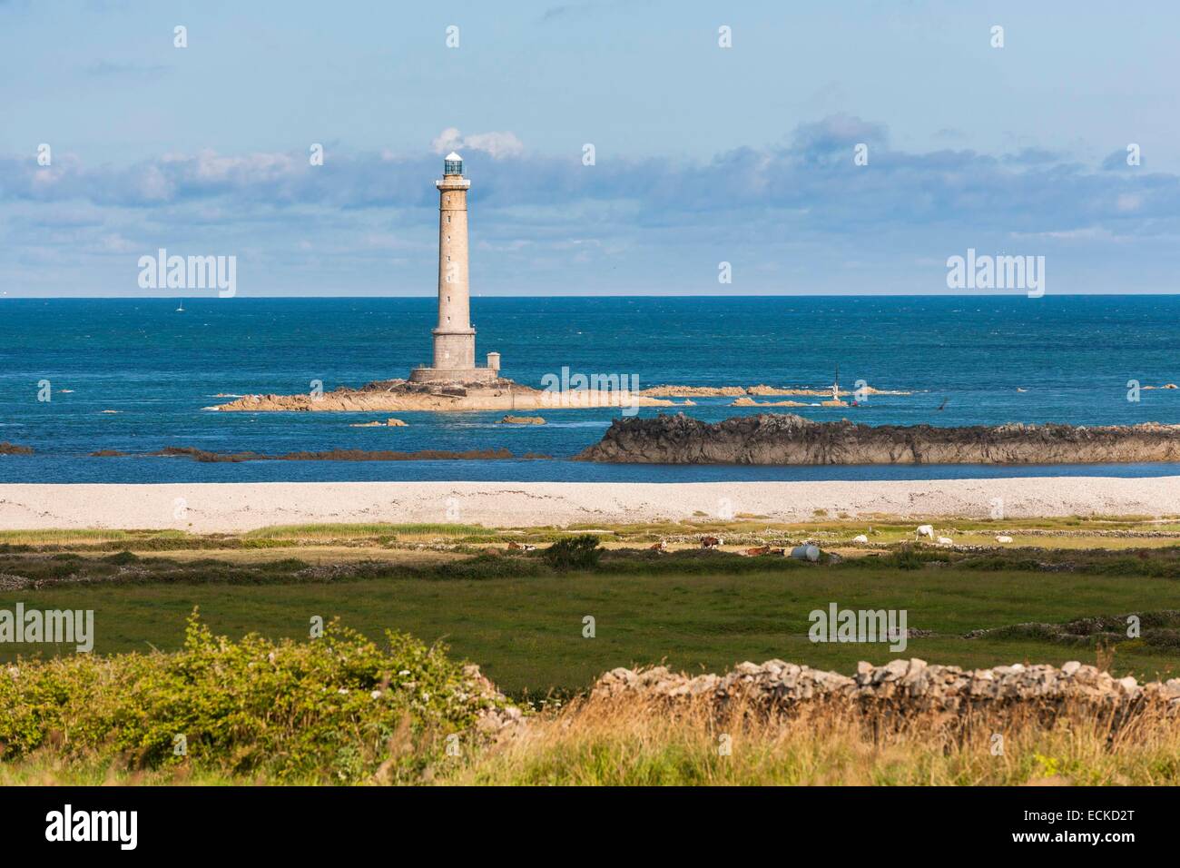 France, Manche, Cotentin, Cap de la Hague, Auderville, Hague lighthouse ...