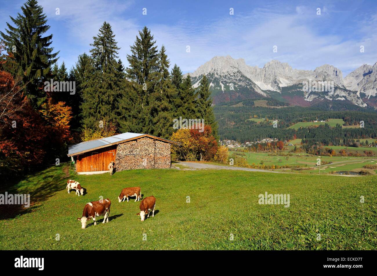 Austria, Tyrol, Ellmau, typical small village and cottage before the ...