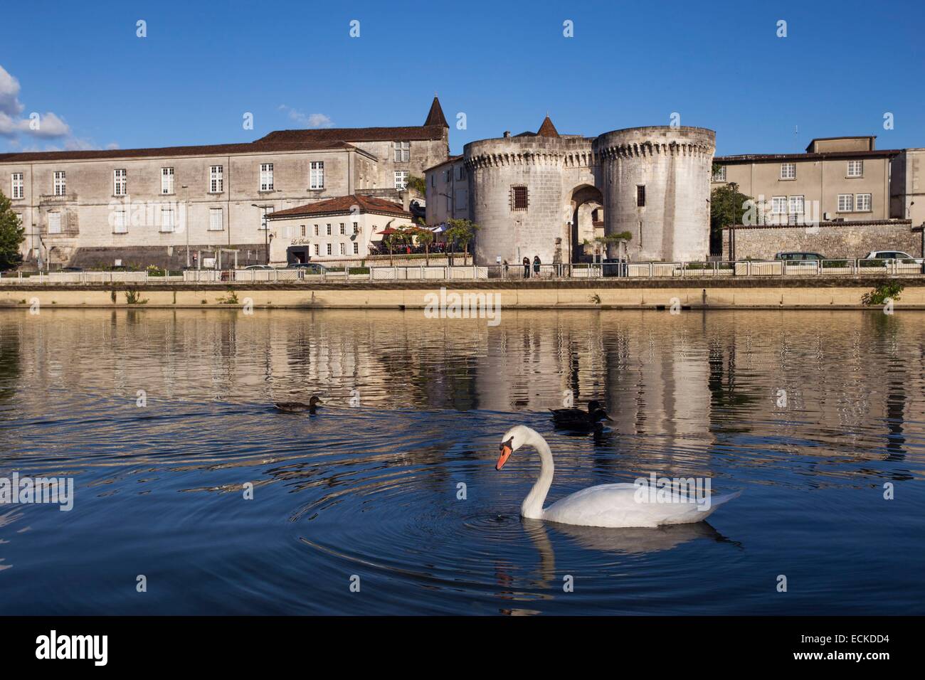 France, Charente, Cognac, the banks of the Charente and Saint-Jacques ...