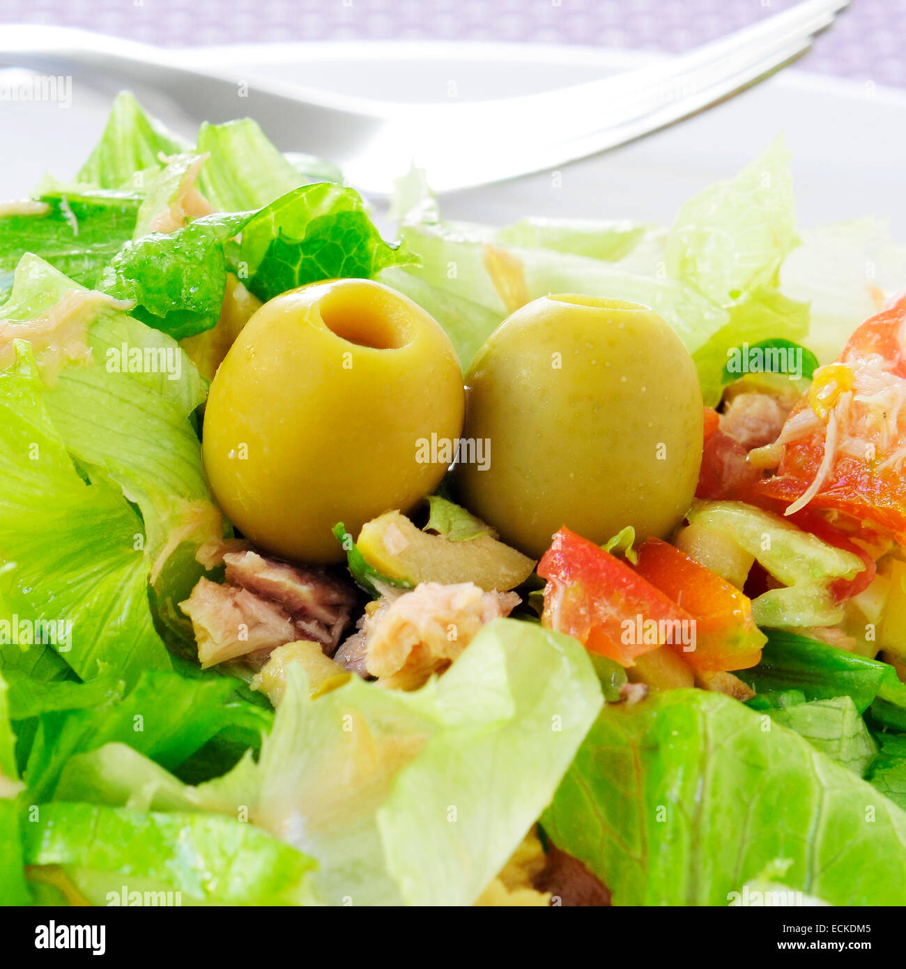 closeup of a plate with refreshing salad, made with lettuce, tomato ...