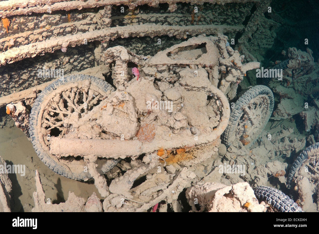 motorcycle "Norton 16H" on shipwreck SS Thistlegorm (British armed ...