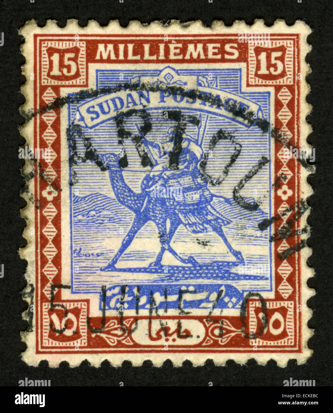 Camel typography hi-res stock photography and images - Alamy