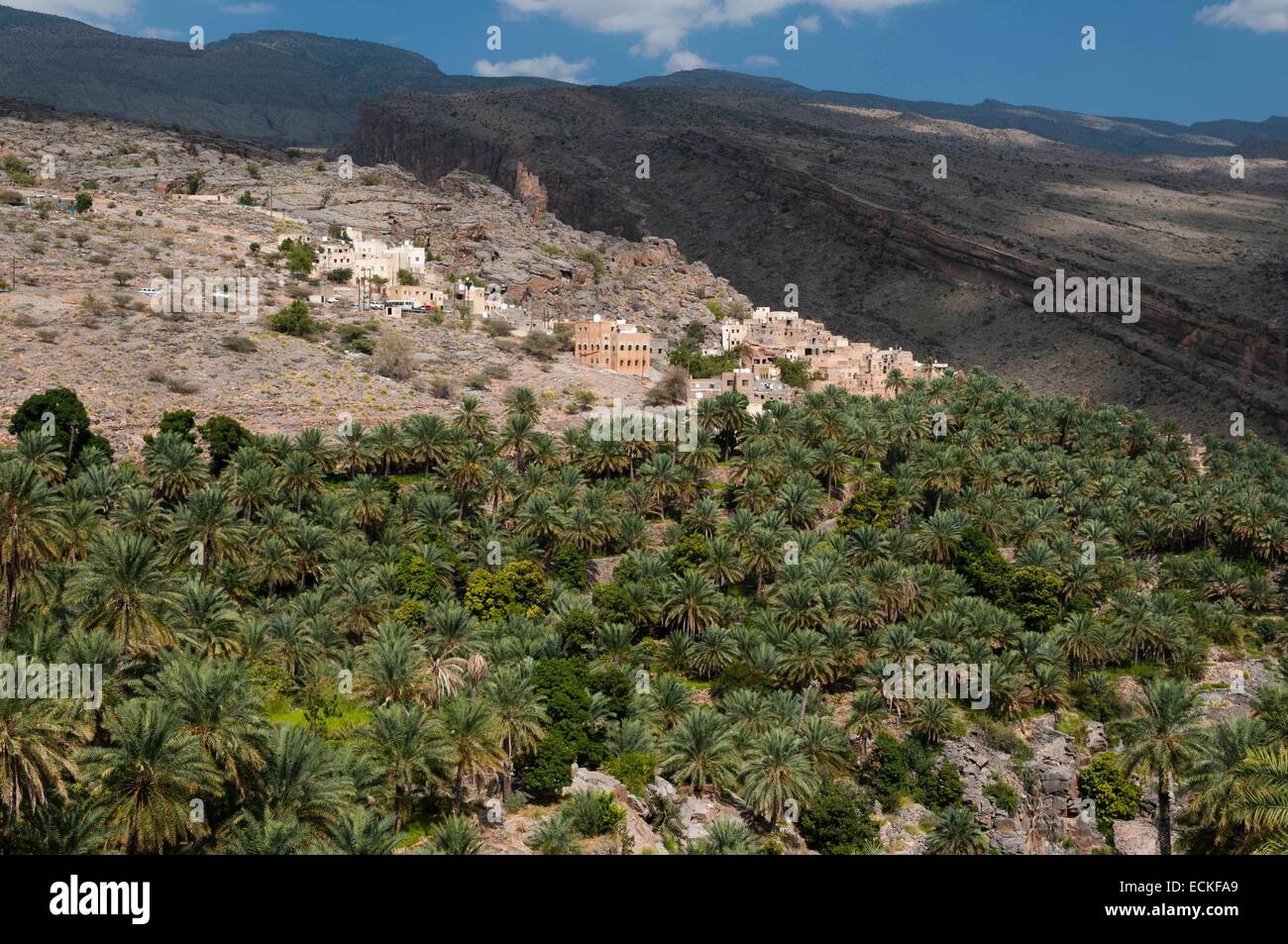 Misfat hi-res stock photography and images - Alamy